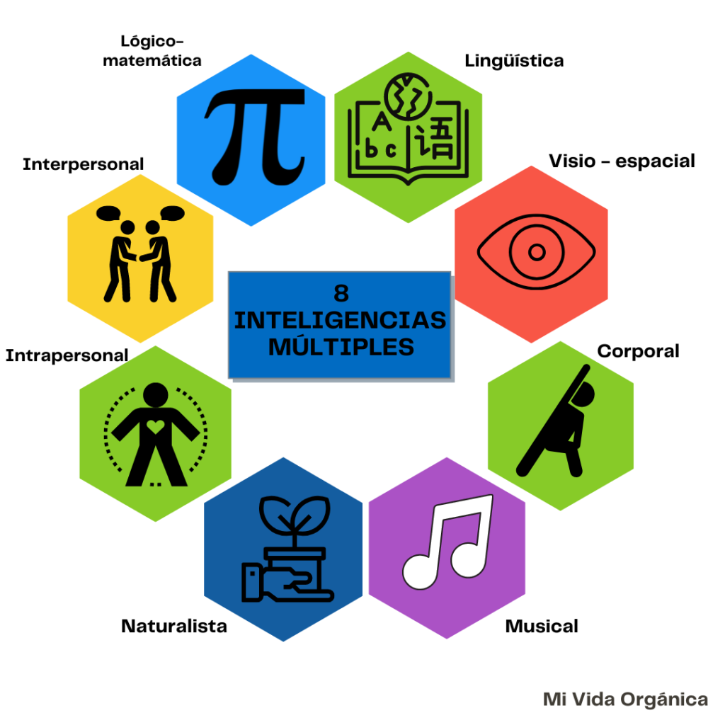 TEORÍA DE LAS 8 INTELIGENCIAS MÚLTIPLES – My Blog